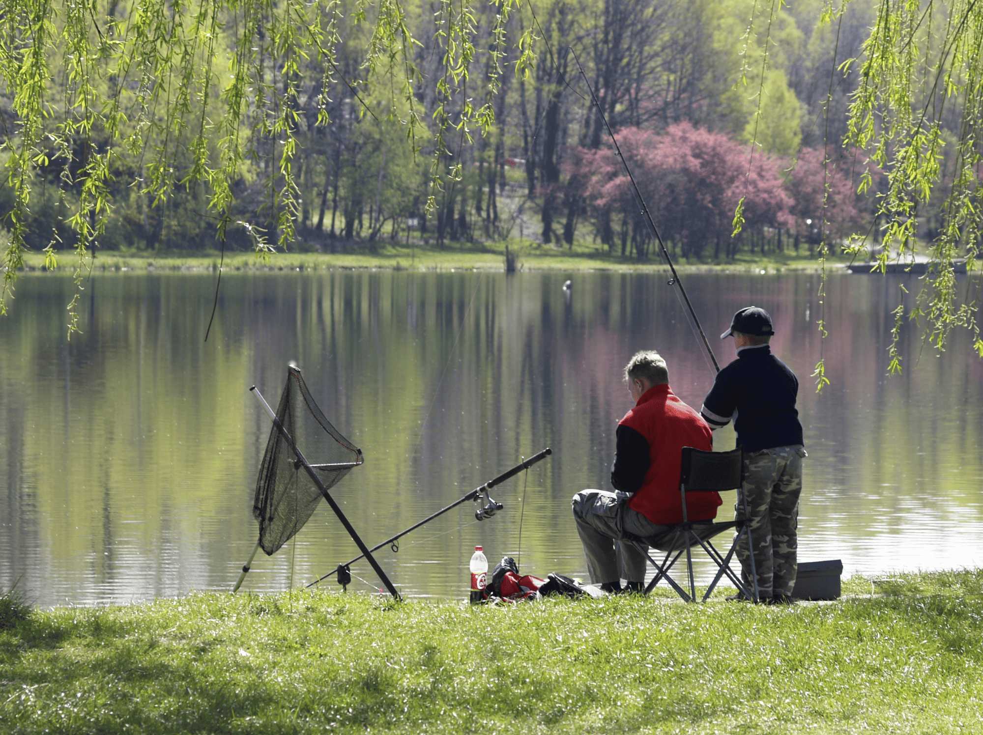 Fishing Camp: A Guide for Enthusiasts
