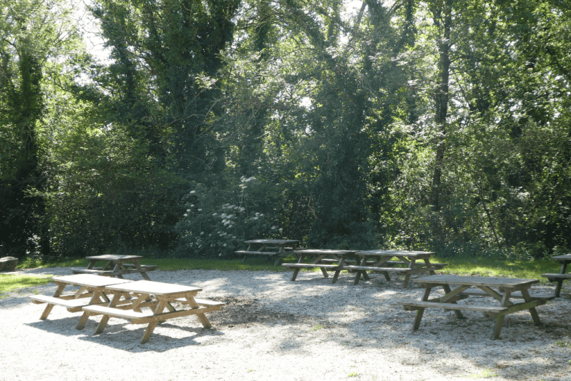 Burney Falls Camping: Uncover California's Hidden Gem