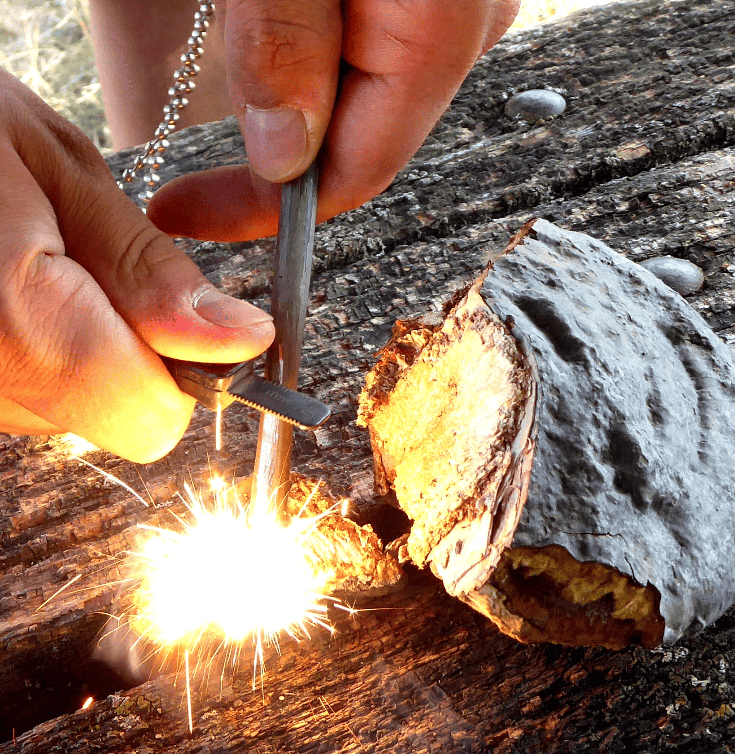 Fire Starters for Camping
