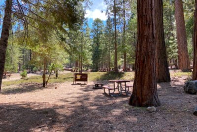 Kings Canyon Camping: The Ultimate Guide