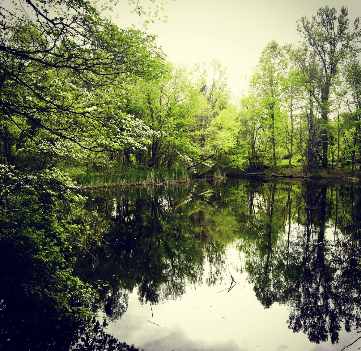 Patapsco Valley State Park: Best Trails & RV Guide - Camping Hiking Life