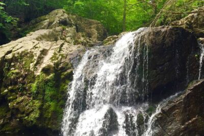 Patapsco Valley State Park: Best Trails & RV Guide