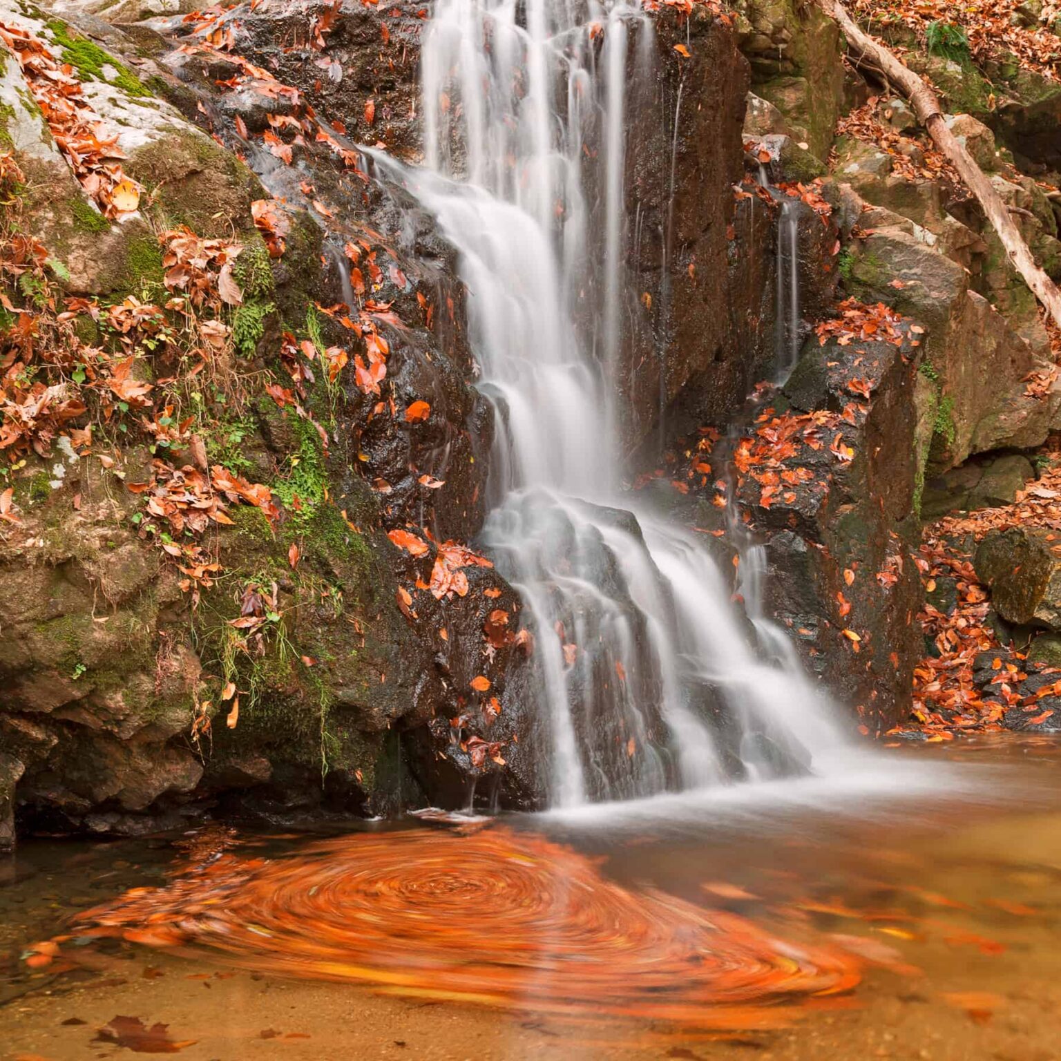 Patapsco Valley State Park: Best Trails & RV Guide - Camping Hiking Life