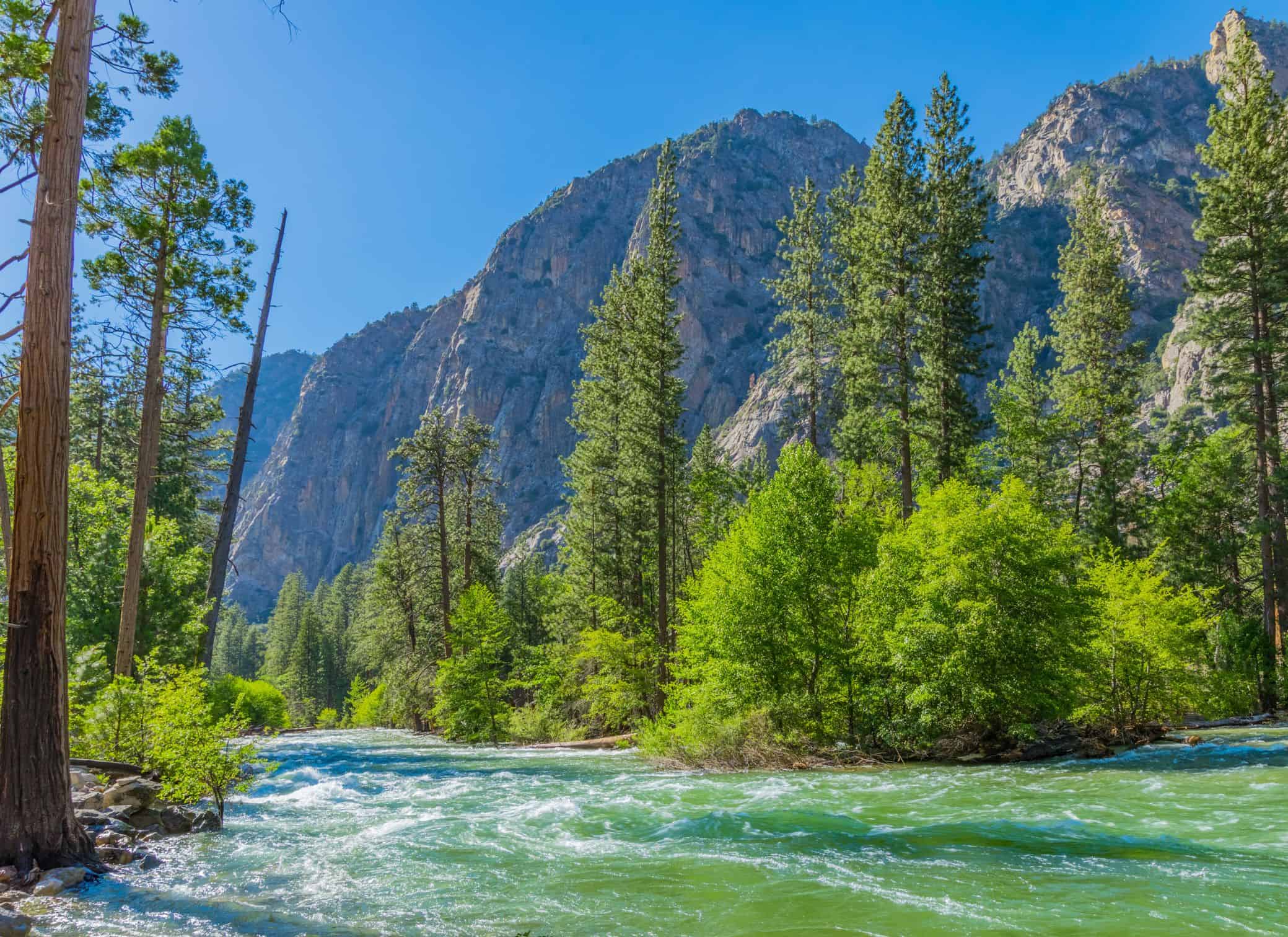 Kings Canyon Camping: The Ultimate Guide
