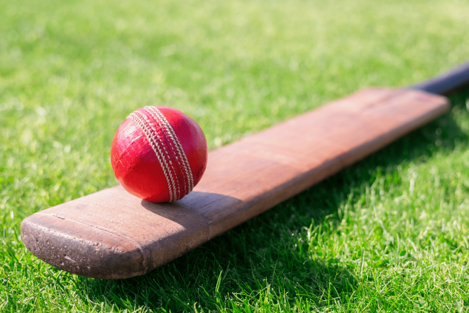 Camp Cricket: A Game to Love