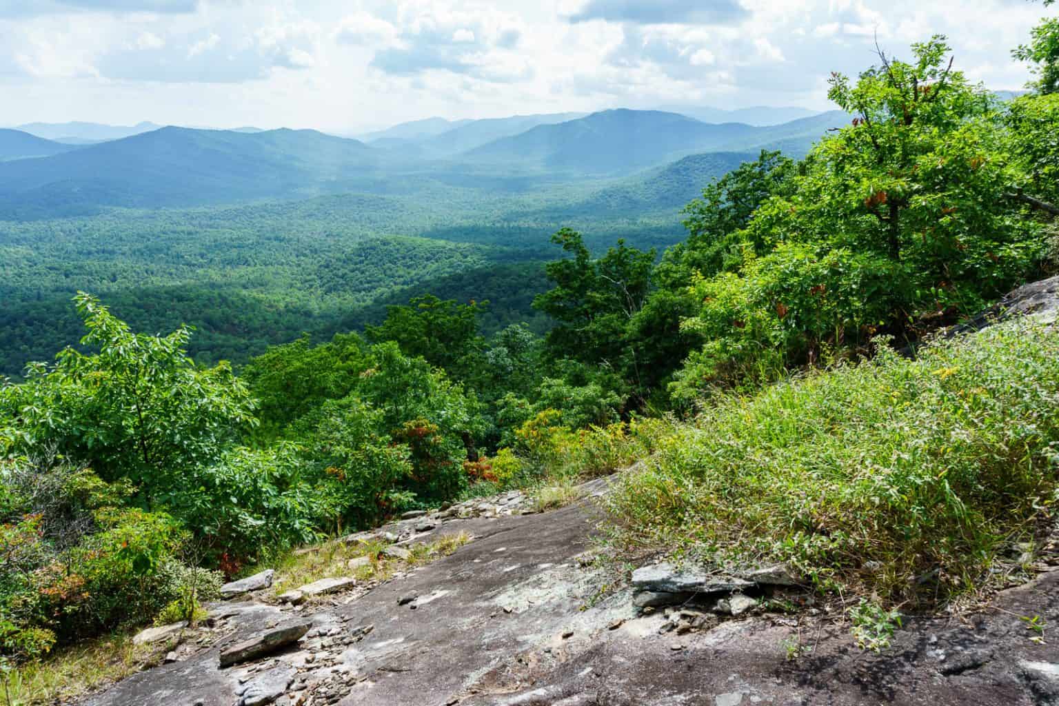 Hiking in North Georgia: Top 10 Trails