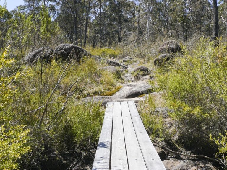 Best Hiking Trails In South Jersey (2024)