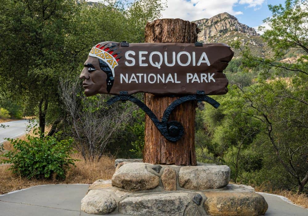 Best Sequoia Campgrounds: Discover the Best Spots to Camp in 2024