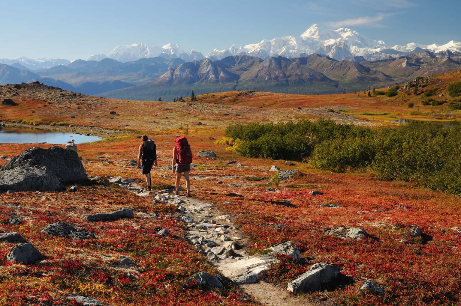 Hiking And Backpacking In Denali: BackCountry Guide (2024)