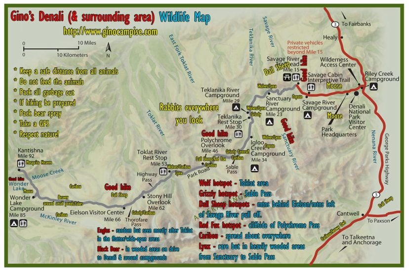Hiking And Backpacking In Denali: BackCountry Guide (2024)